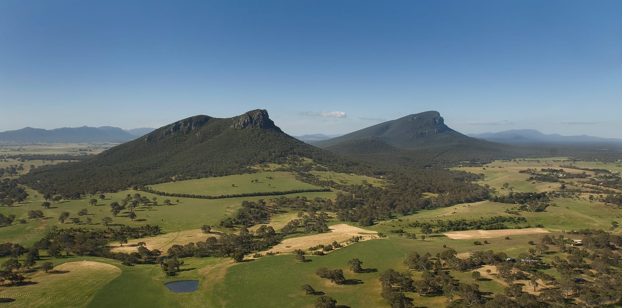 Peaks & Trails - Grampians Trail Running Event in Dunkeld